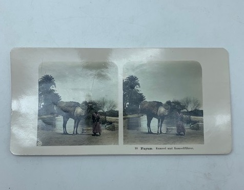 Anonimo, Fayum. Kamel und kameelfuhrer. Foto originale stereoscopica
